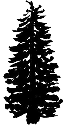 Reforus – ReImagine Wood